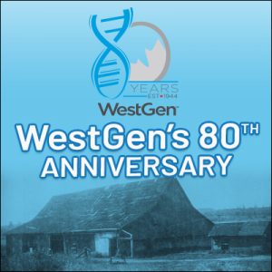 WC Dairy News – Connecting generations of Dairy Farming Families